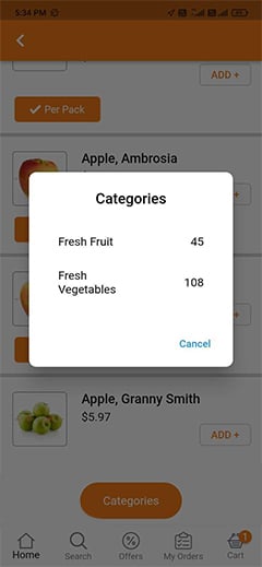 Portfolio Flutter 