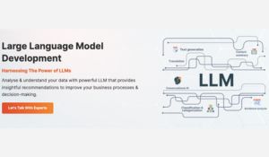 Large Language Model (LLM) Development Services